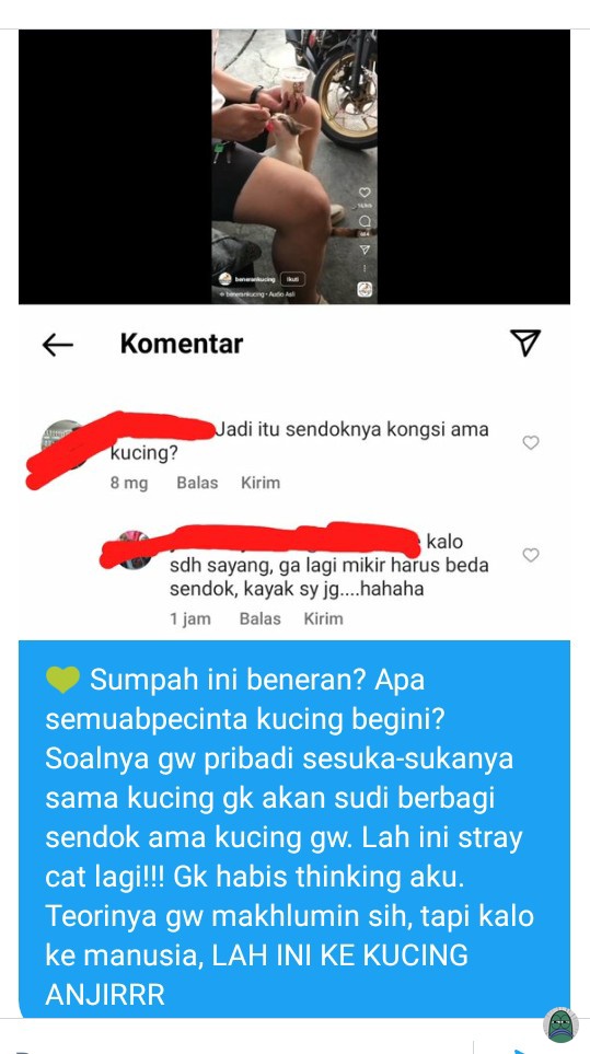 OPEN DM ㅡ Tanyarl 💚 on Twitter: "💚 plis bilang kalo kalian gk gitu ama ...