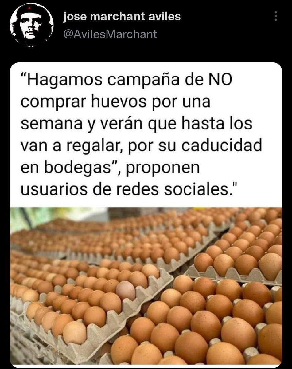 Mauricio Leandro Bertero on Twitter: Mauricio Leandro Bertero on Twitter: