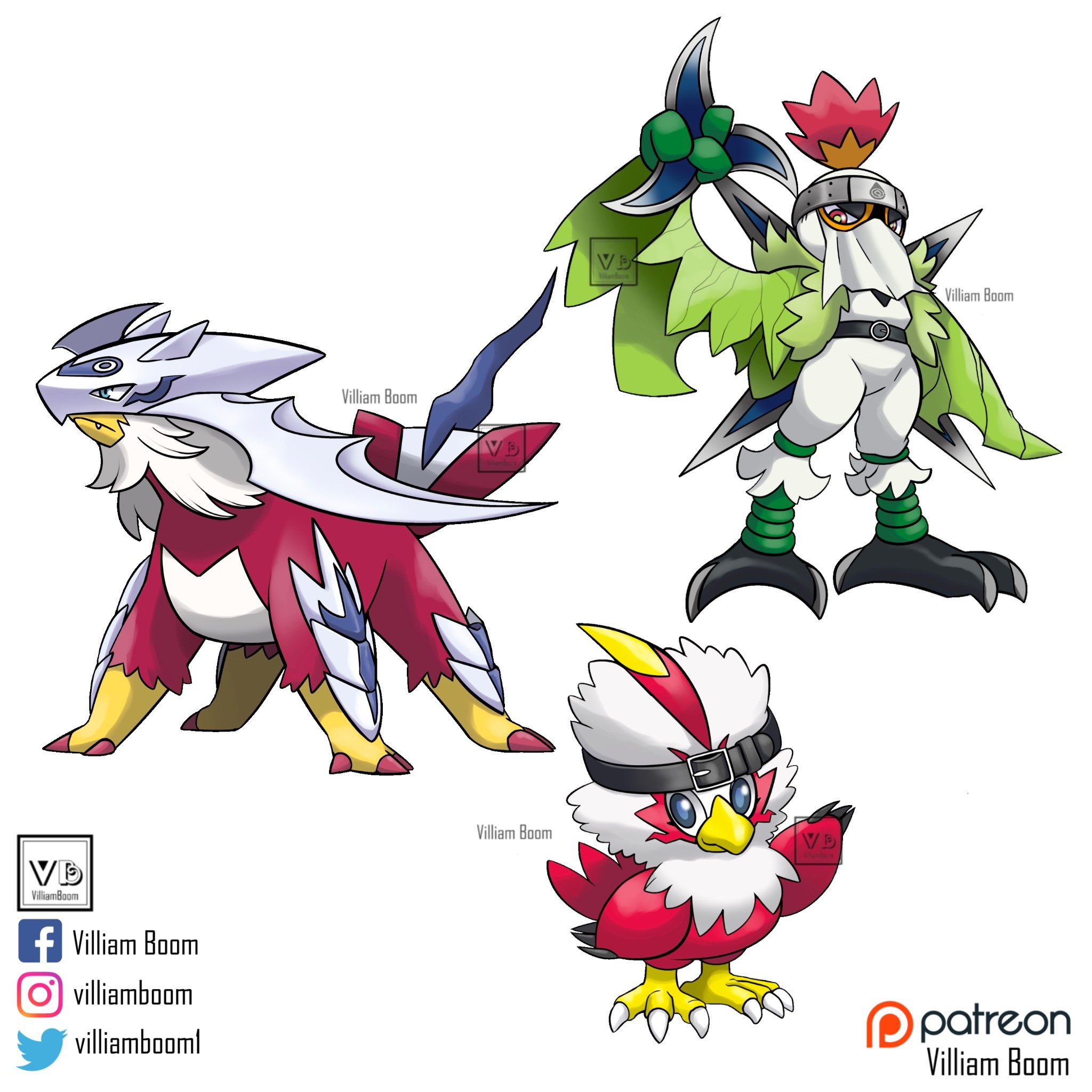 Hawlucha Evolution Chart