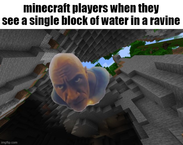 Minecraft Memes on Twitter: "Dwayne the Stone Block Johnson"