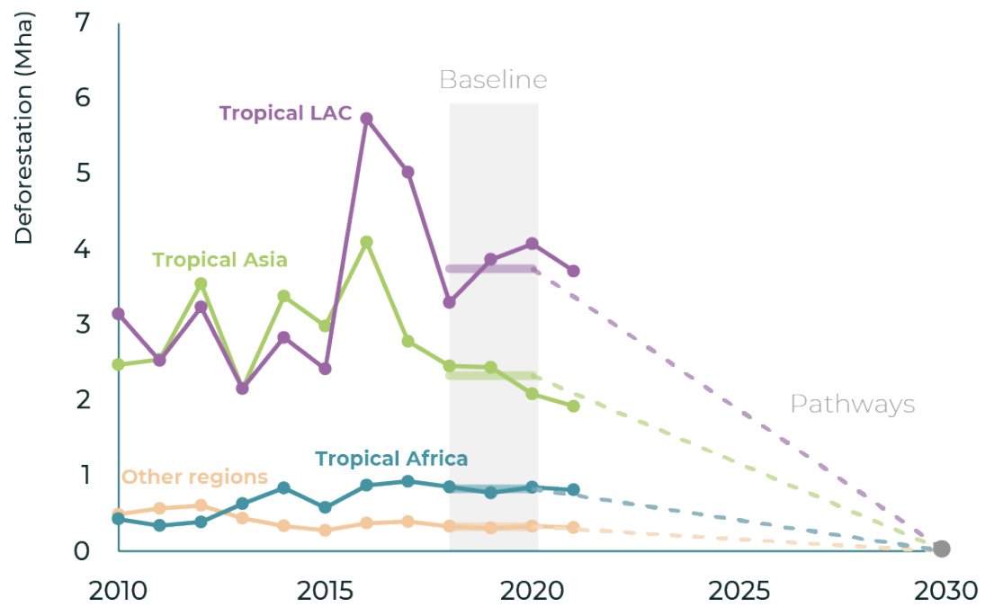 Deforestation Graph 2022