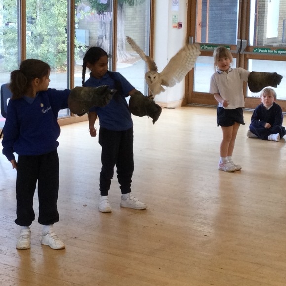 Kingshott School | Independent Prep School | Private School Hitchin