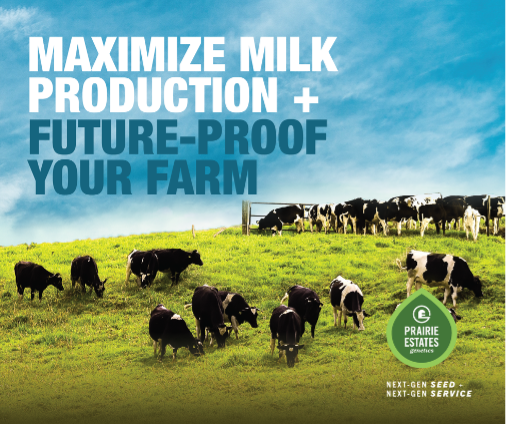 Progressive Dairy on Twitter: "Milk prices are through the barn roof and there’s never been a ...