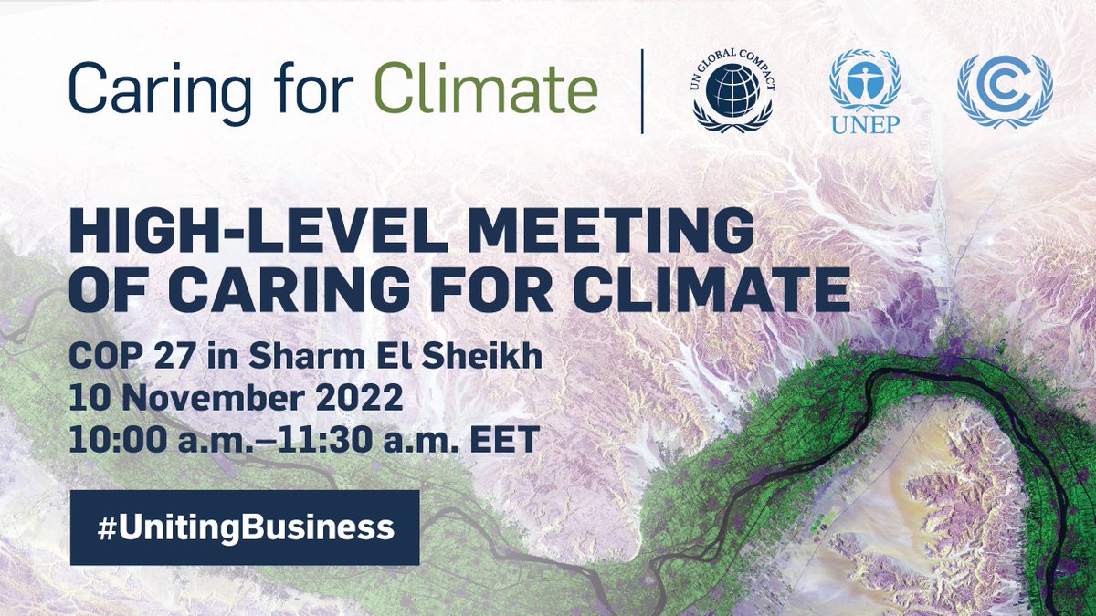 UN Global Compact on Twitter: "🔓 Businesses can unlock value & long-term growth by becoming a ...