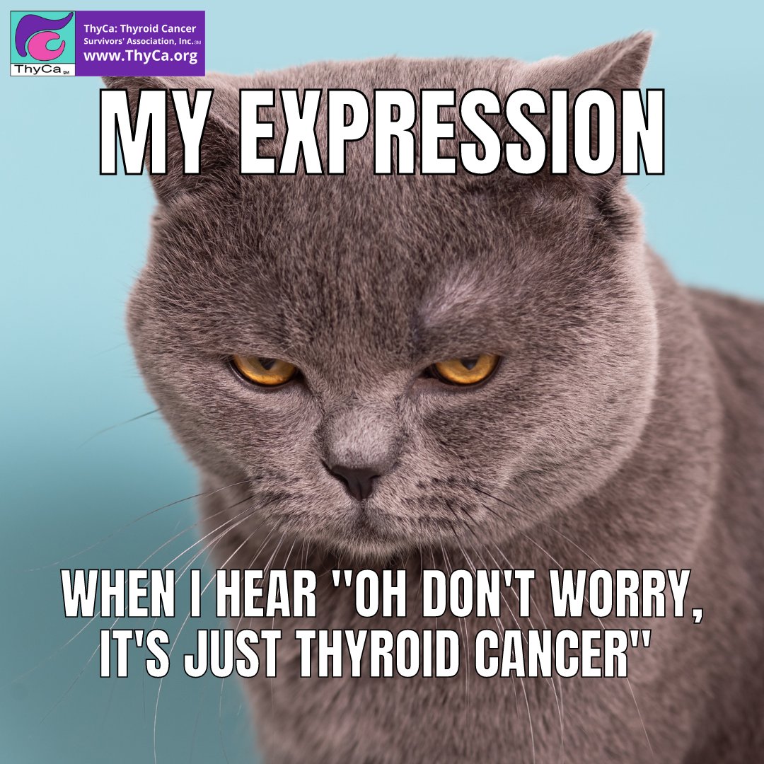 Breathing Intensifies Cat Meme