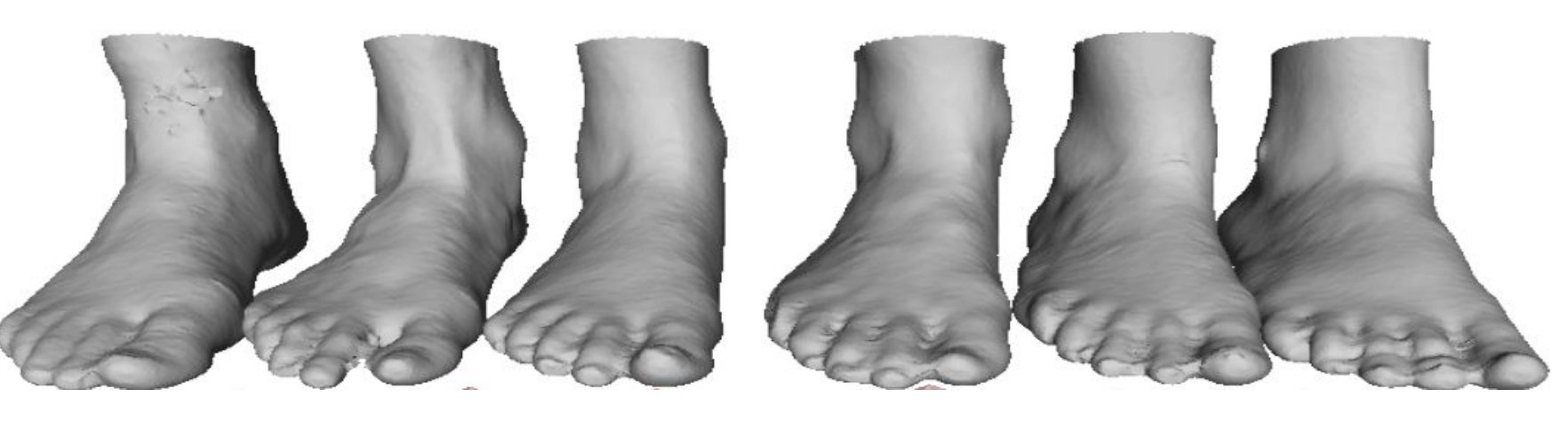 Foot Reference 3d