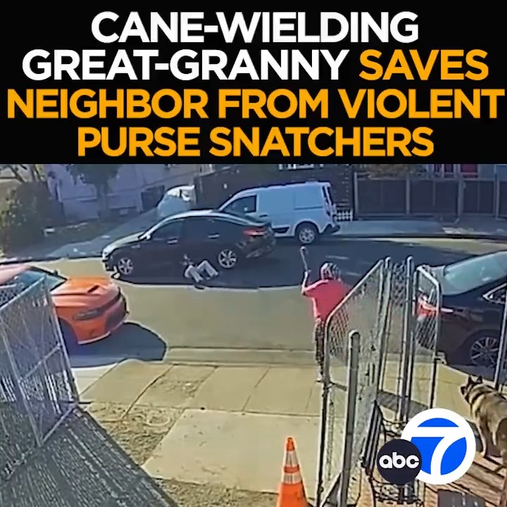 Abc7 Eyewitness News On Twitter Dont Mess With This Great Grandma