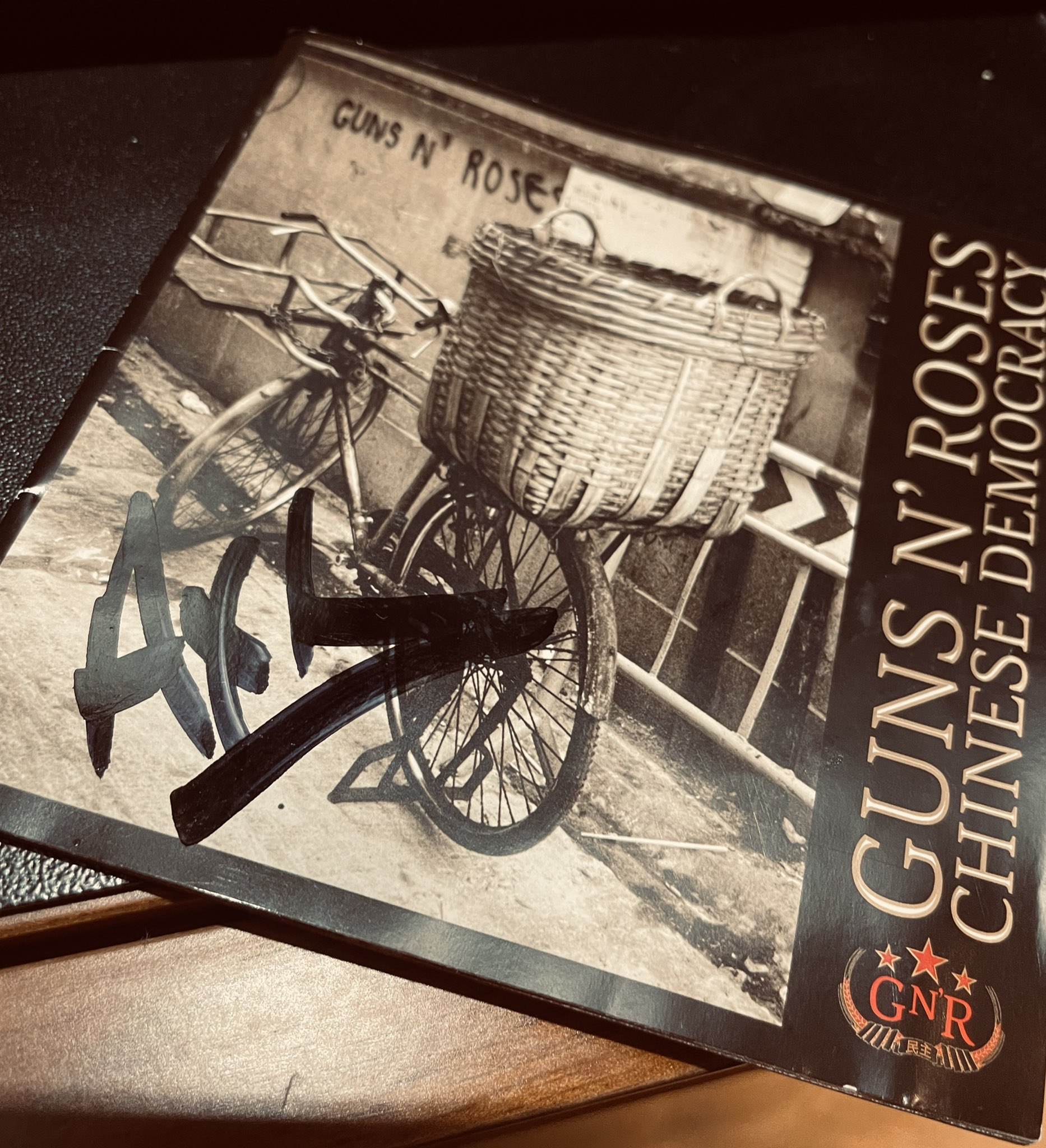 Chinese Democracy Album Cover