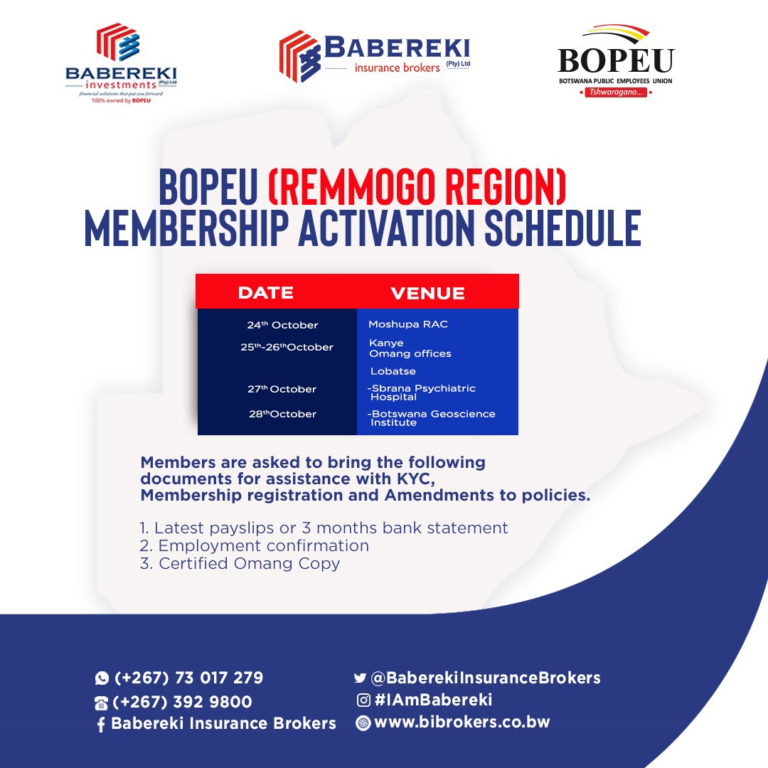 Bopeu Logo Babereki Insurance Brokers Logo & Brand Assets (SVG, PNG