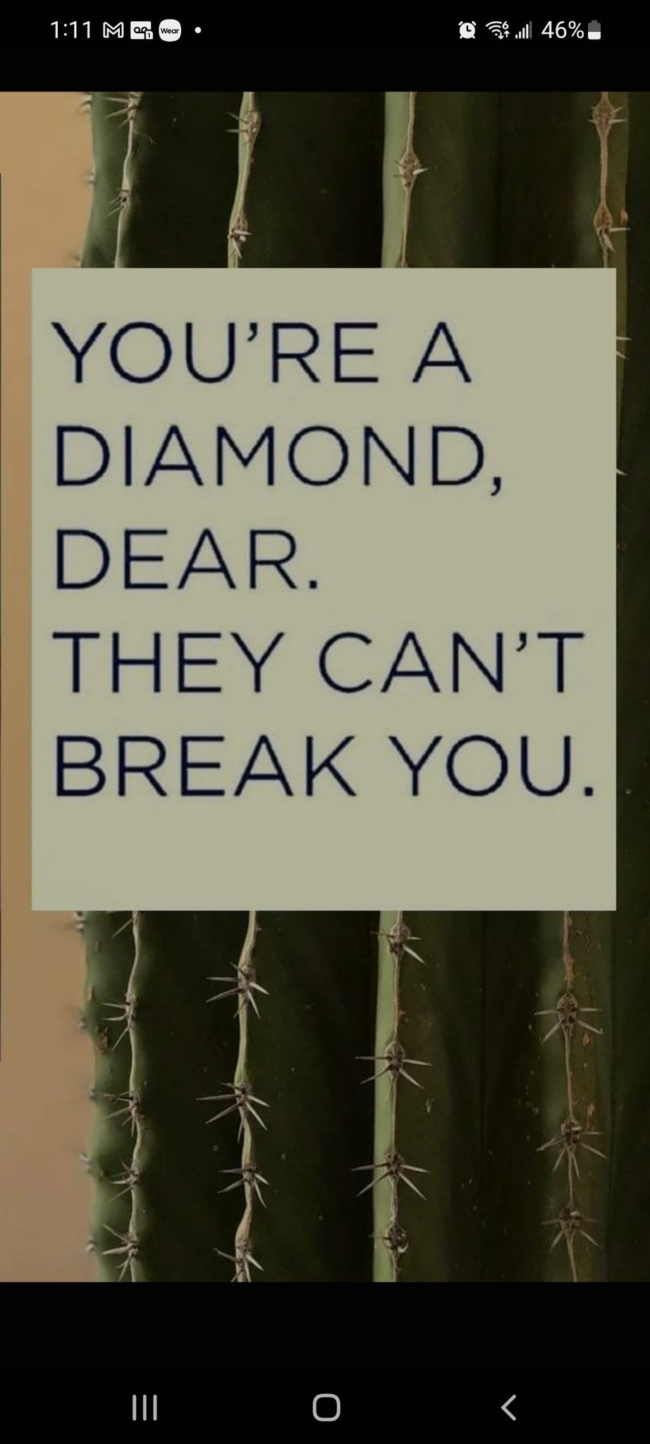 Unique & Special on Twitter: "When your patents were angry with you did you get renamed: Dirty ...