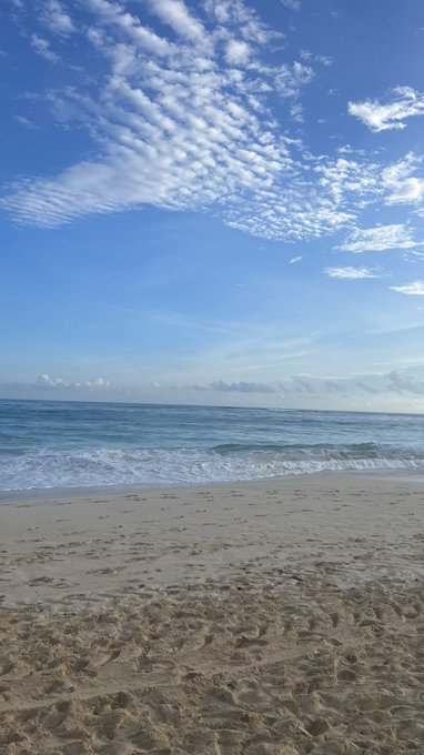 TW Pornstars - Chloee_Fitgamer. Pictures and videos from Twitter.