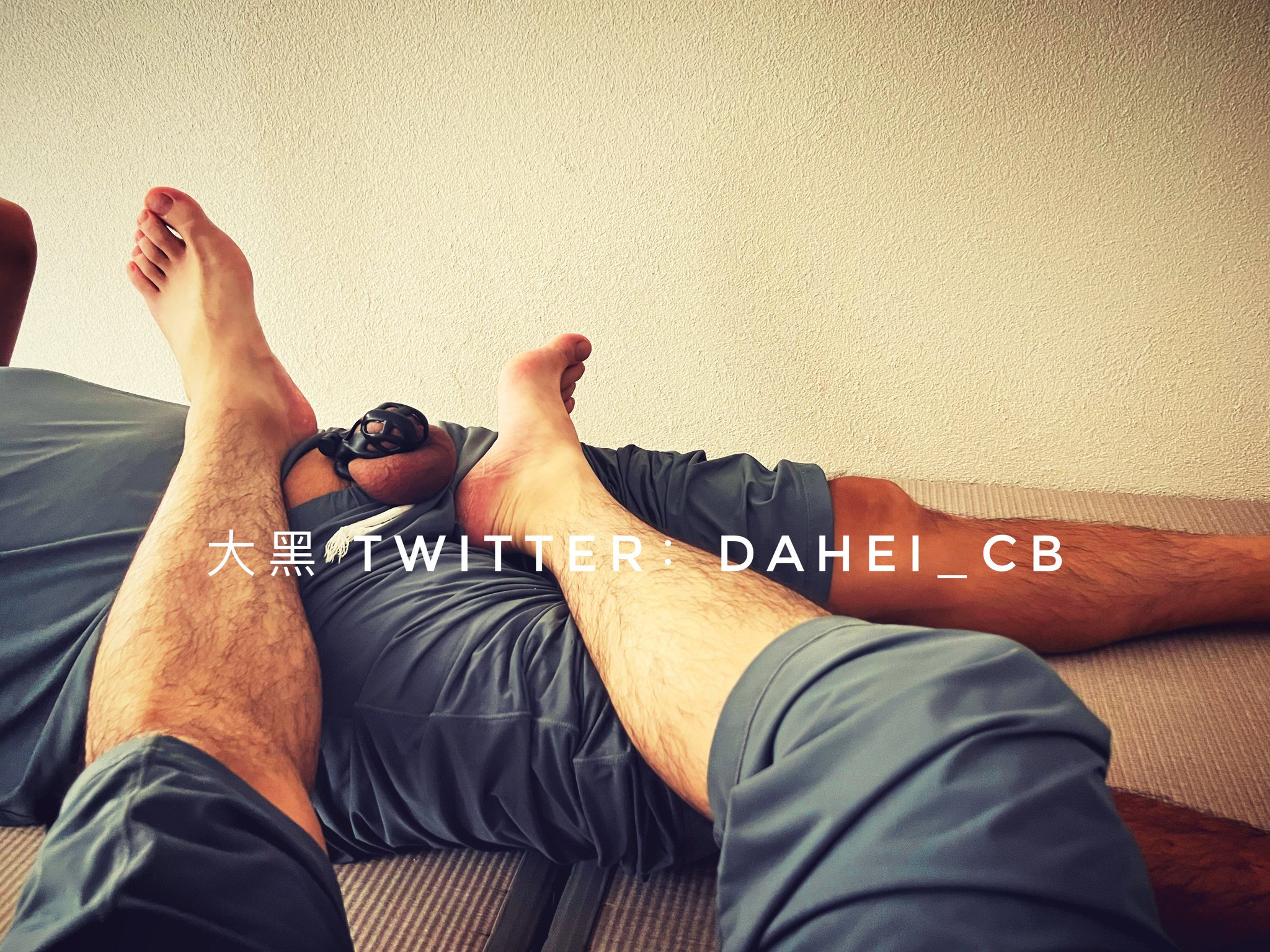 大黑 on Twitter: "日常平淡中的主奴关系体现。 https://t.co/FwPVzvQXMD" / Twitter