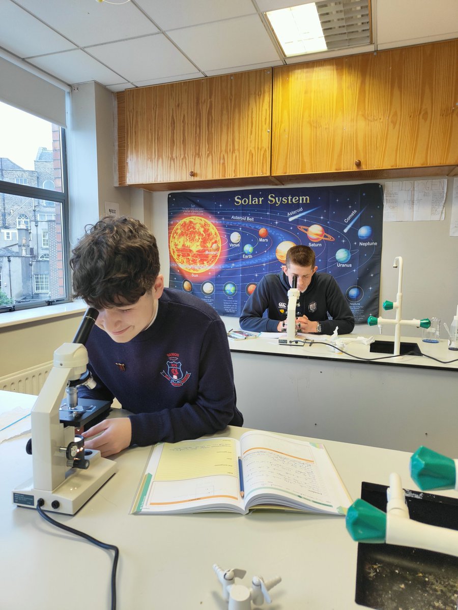 C.U.S. Catholic University School | Senior School