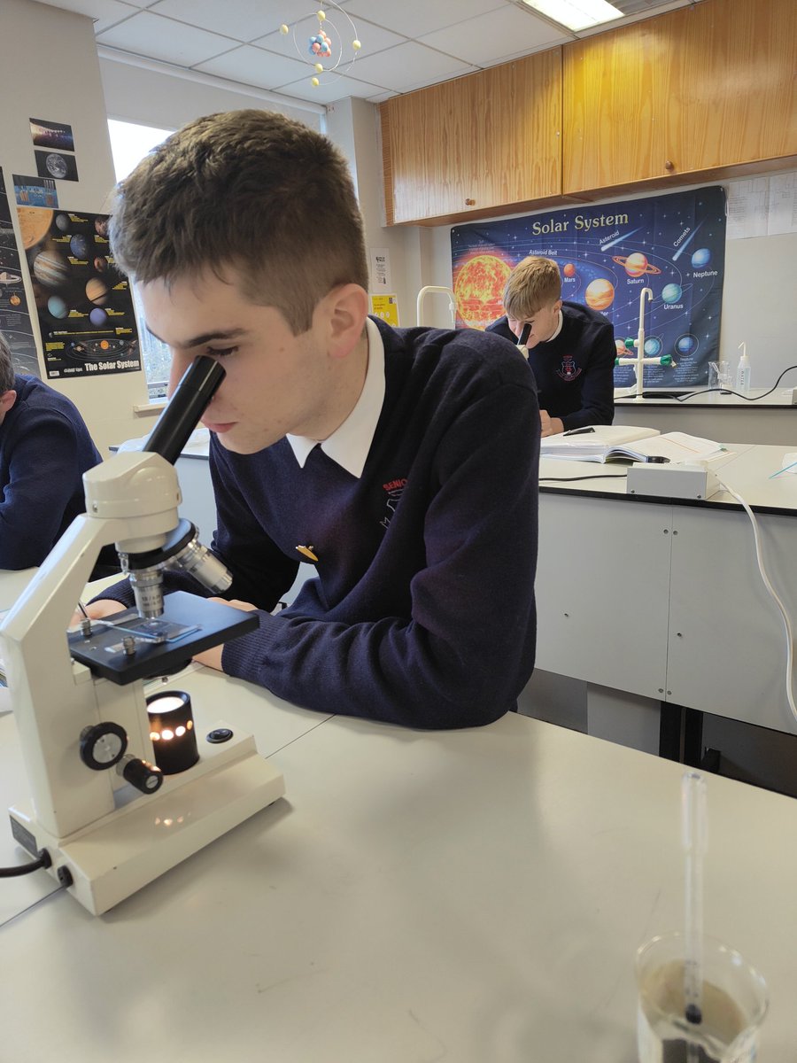 C.U.S. Catholic University School | Senior School