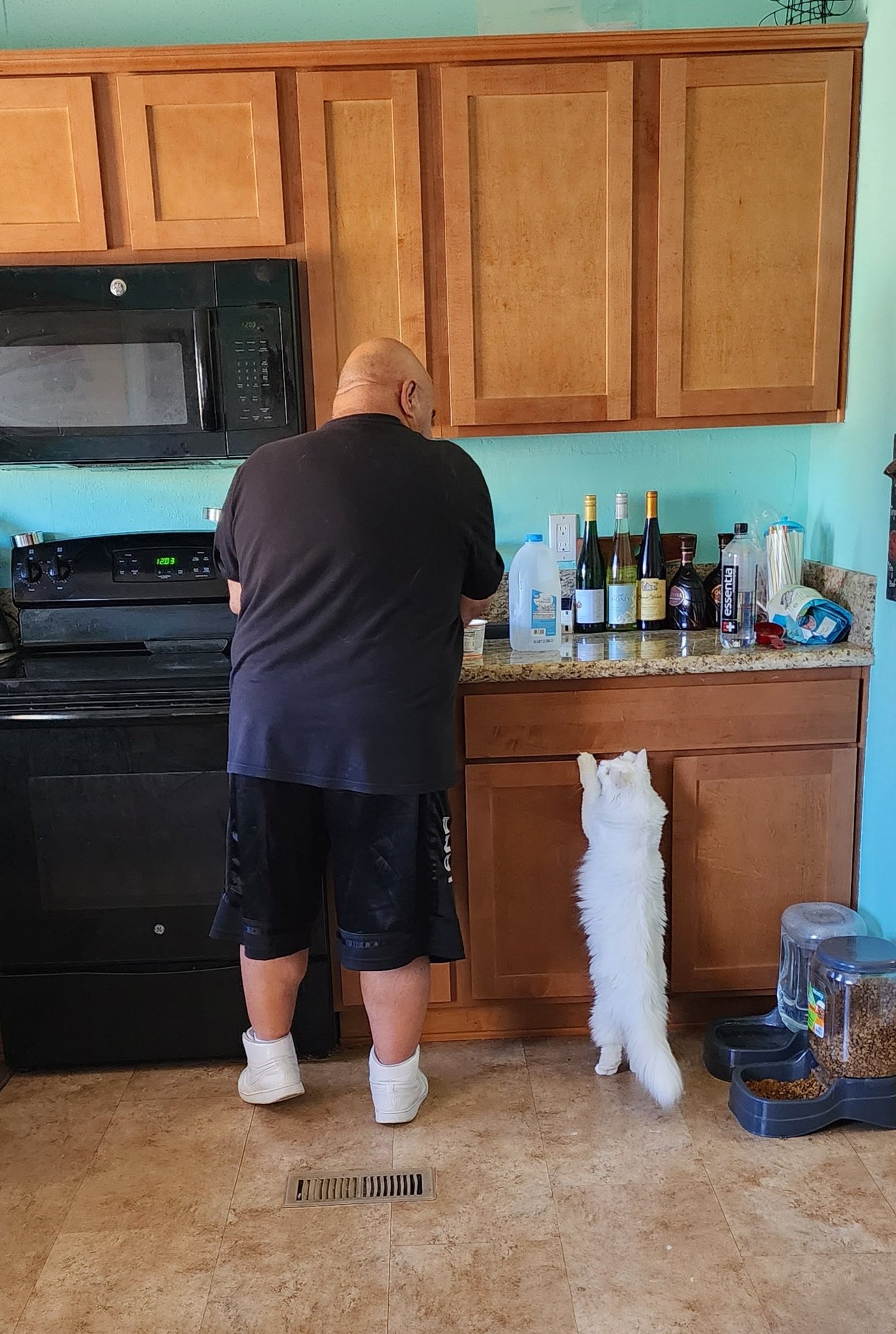 Rebel Rhyder On Twitter My Favorite Person And My Favorite Cat Cooking Lunch Together π