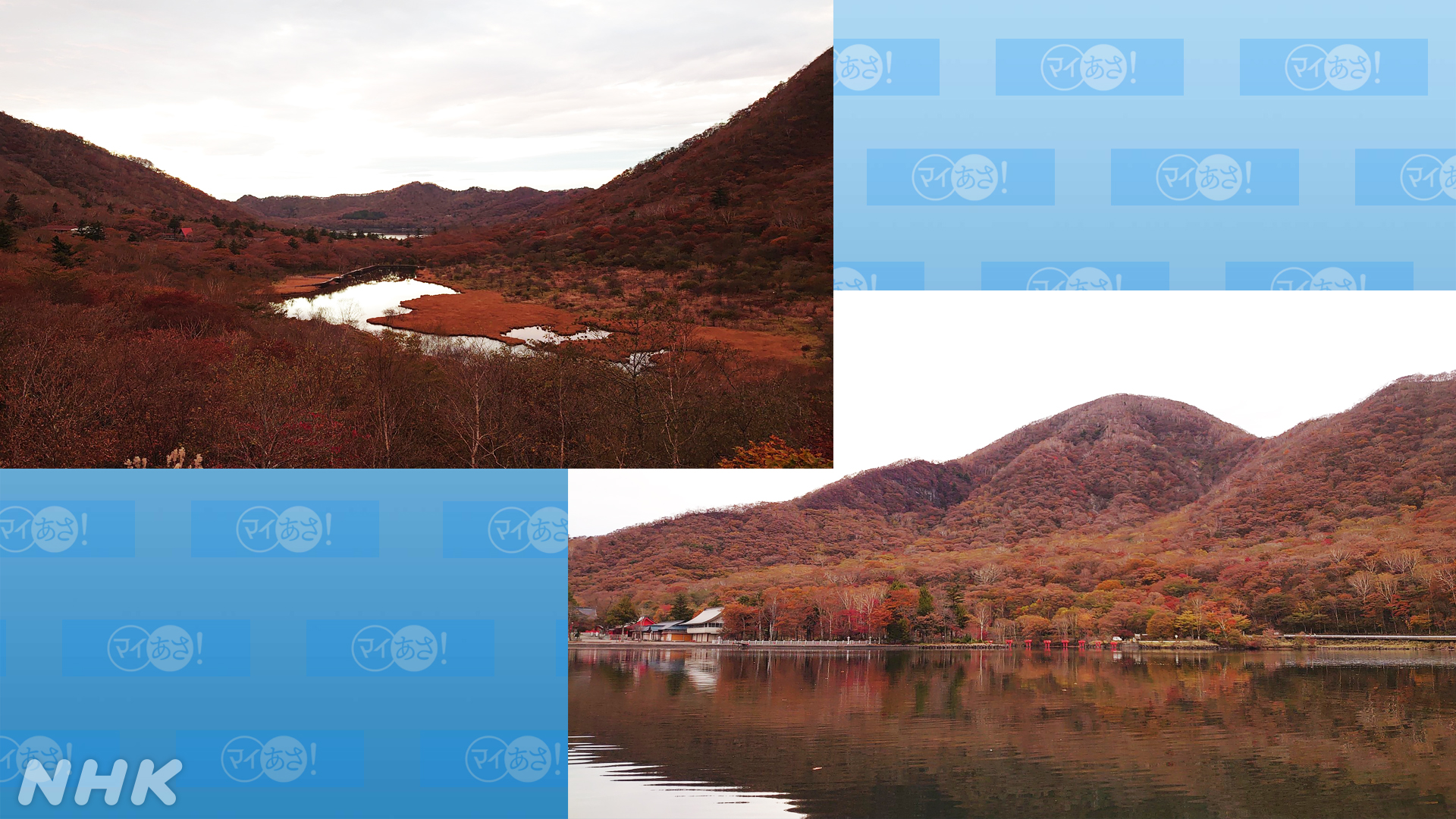 NHKラジオニュース on Twitter: "#マイあさ マイあさだより後半、赤城山大沼湖畔の様子です。 青木猛さんによると見頃は過ぎたということですが、まだ色づいた葉が残っていますね ...