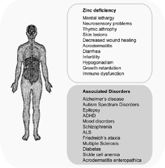 Zinc Deficiency Acrodermatitis Enteropathica