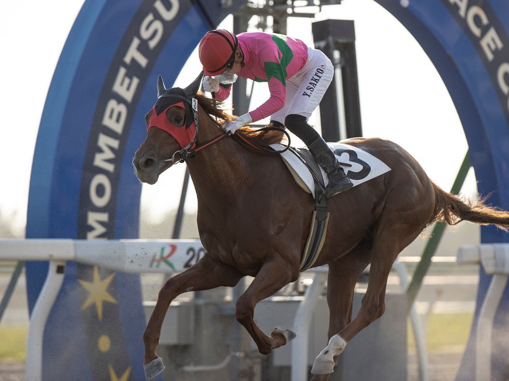 YGGオーナーズクラブ（一口クラブ） on Twitter: "本日の出走馬🐴 #ラッキーストーリー 門別8R JRA認定ウィナーズチャレンジ9競走 2歳 選抜馬 ダ1700m 18:05 8 ...