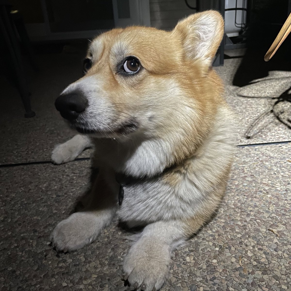 5:05am The brisket is out of the fridge. - Thread from Kyle Trouble ...