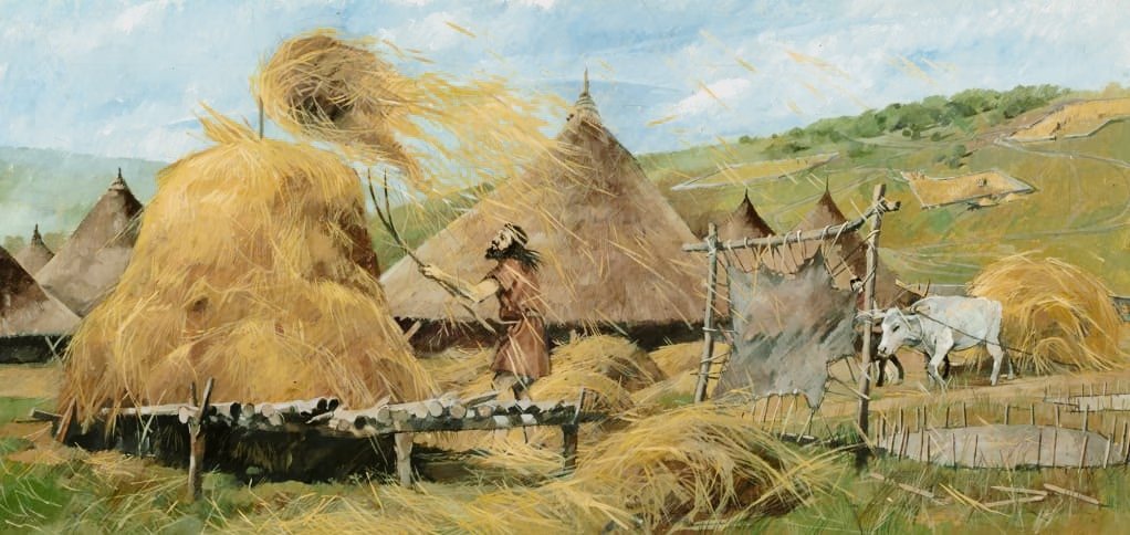 1/The Ancient Greeks were distinguished according to the dialect they ...