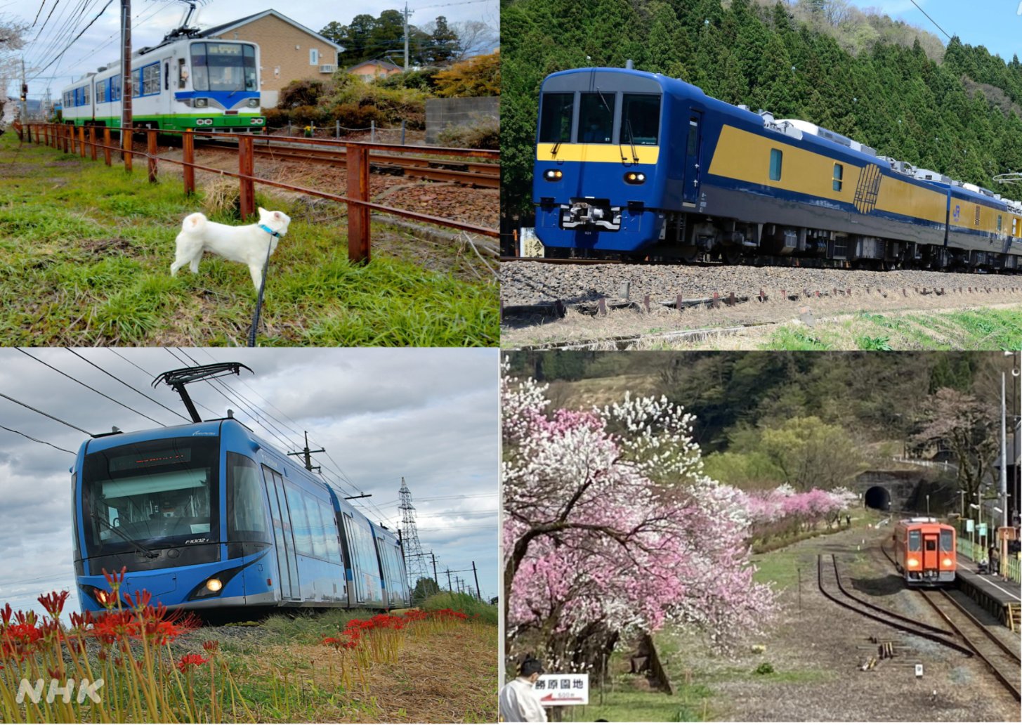 NHKアナウンス室(水曜午前10:30ラジオ第2「アナウンサー百年百話」放送中) (@nhk_anaroom) / Twitter