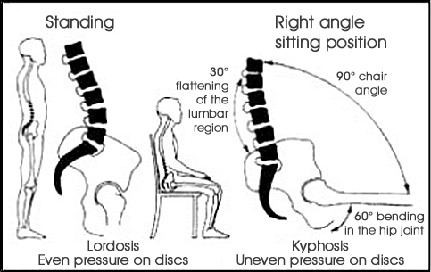 The average person sits/is sitting for 8 hours a day. However, sitting ...