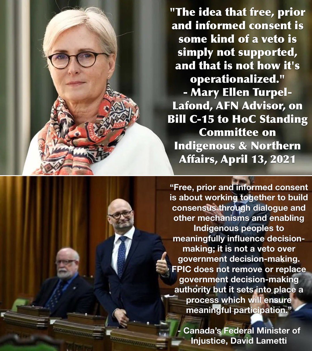 Russ Diabo on Twitter: "Think about nat'l influence Mary Ellen Turpel-Lafond has had 4 decades ...