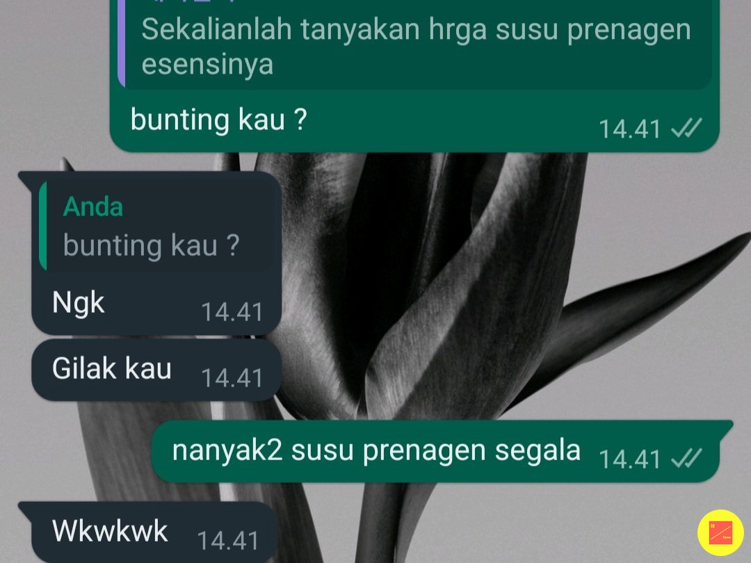 CEK RULES on Twitter: "Jadi kakak aku dalam waktu dekat mau nikah, nah terus dia minta tolong ...