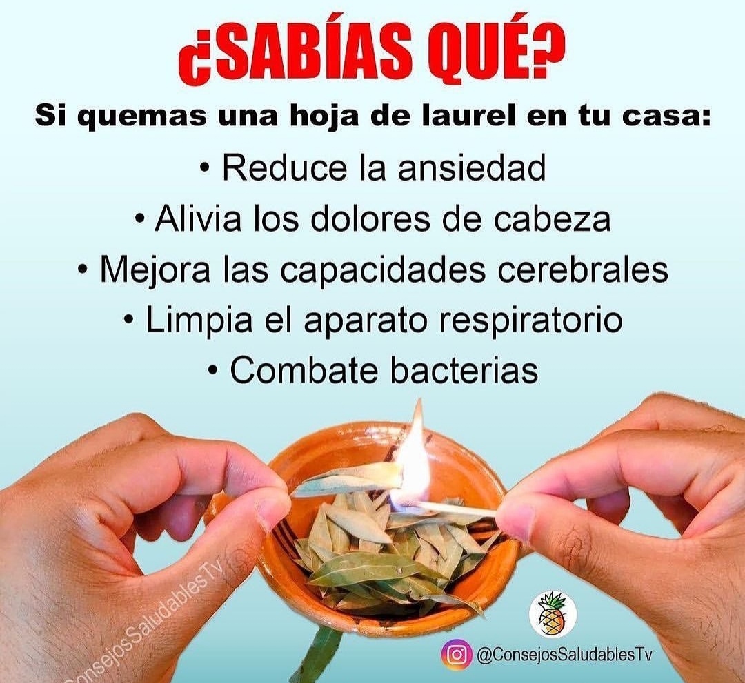 Yo Soy Atenci贸n on Twitter: Yo Soy Atenci贸n on Twitter: