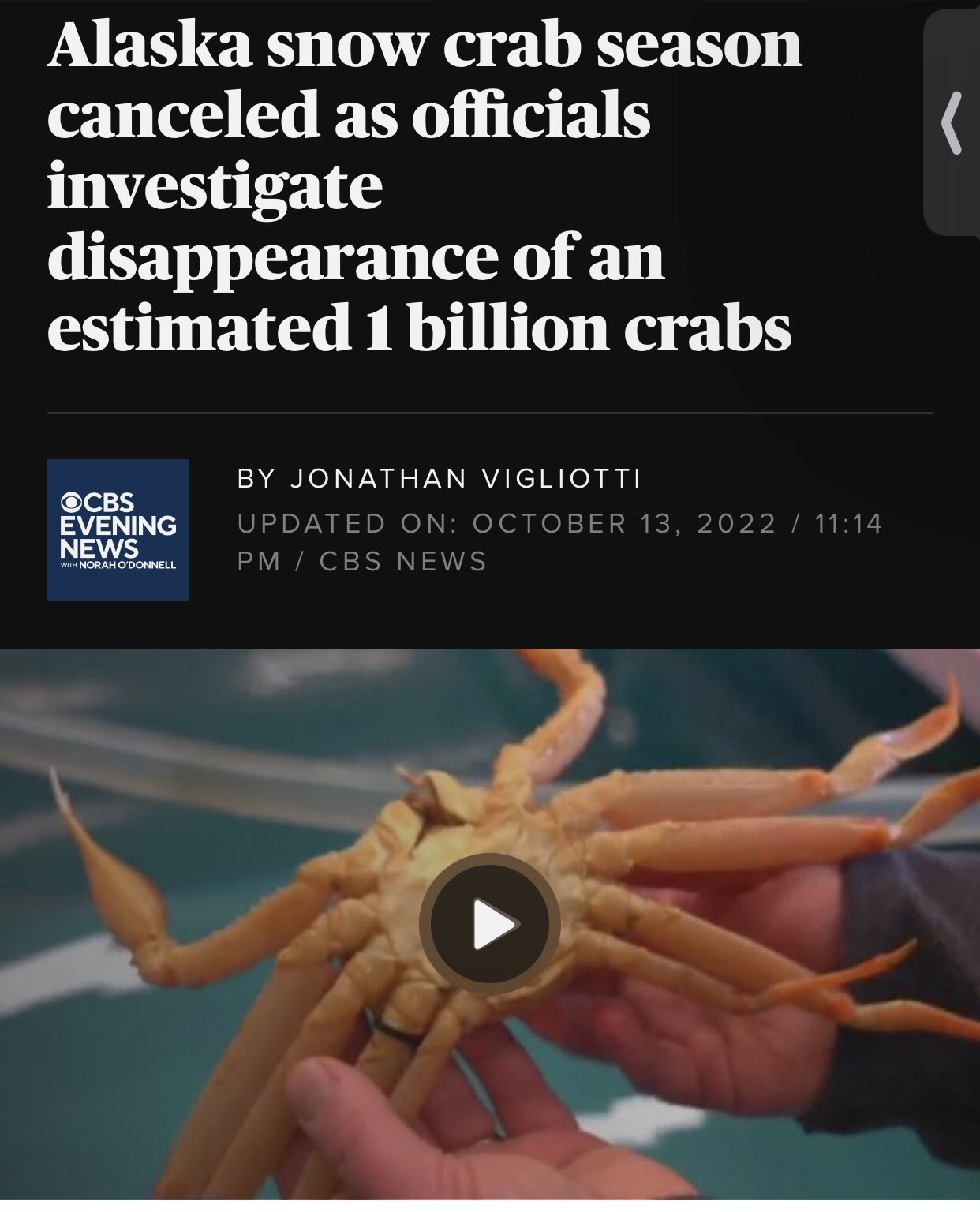 Snow Crab Memes Saltwater Inverts – Carolina Aquatics