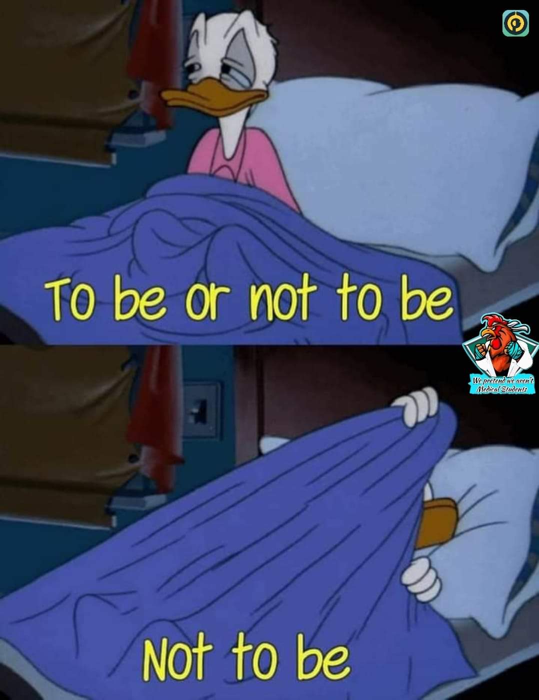 Hoda Mostafa (@hodaMostafa56) / Twitter