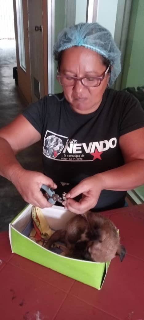 MisiónNevadoVzla on Twitter: MisiónNevadoVzla on Twitter: