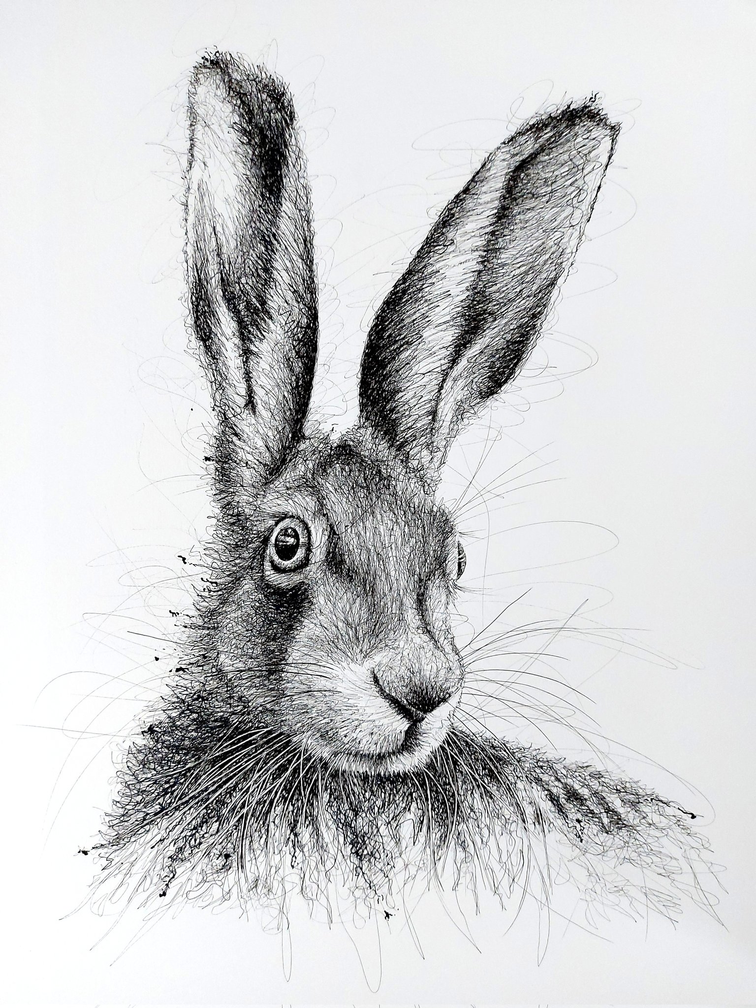 How To Draw A Hare Running Hare, Bunny One Line Art. Continuous Line