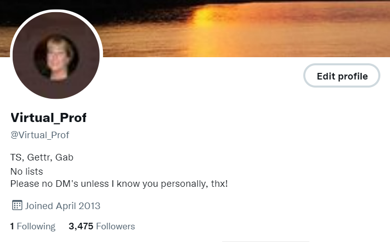 Virtual_Prof on Twitter: "@elonmusk - First Twtr locked my account, then they removed ALL of the ...