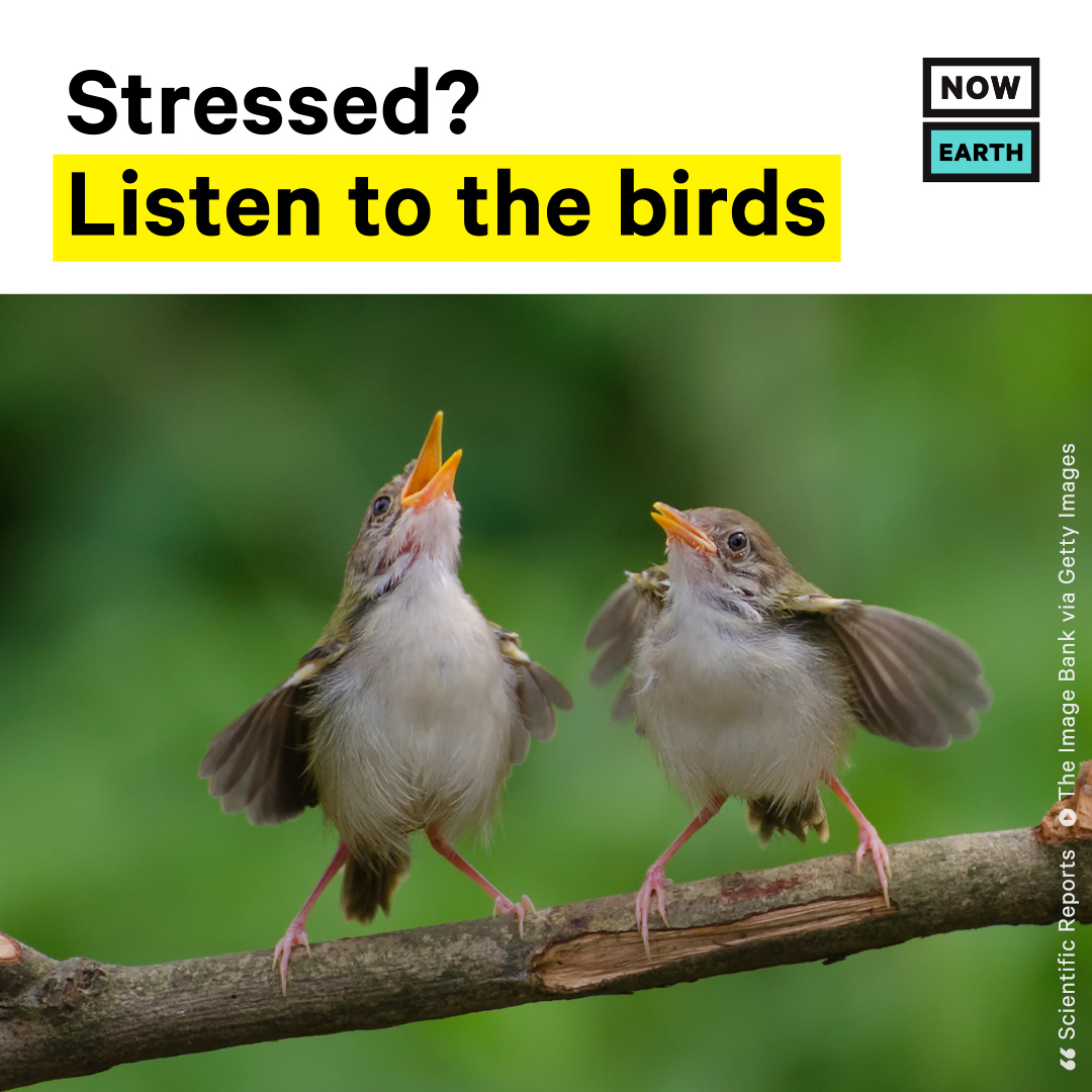 A study published on October 13 in the journal Scientific Reports has ...