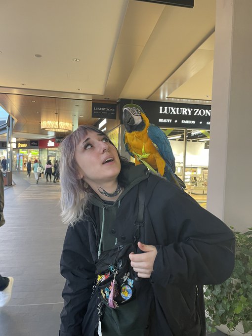 TW Pornstars - Locorory | Top P⭐️. The most liked pictures and videos ...