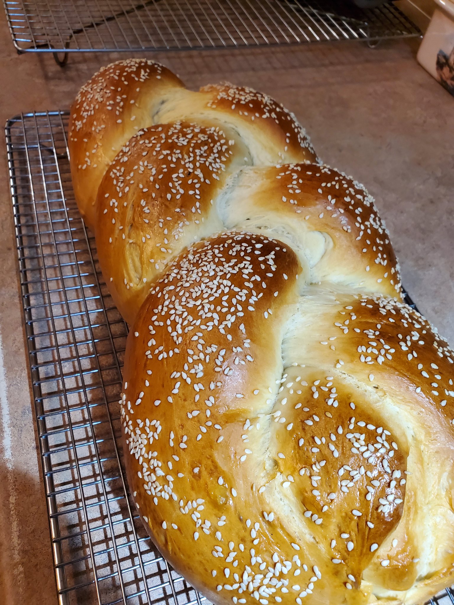 Mr. Pettit and Mrs. Hope (@Portable_Pals) / Twitter