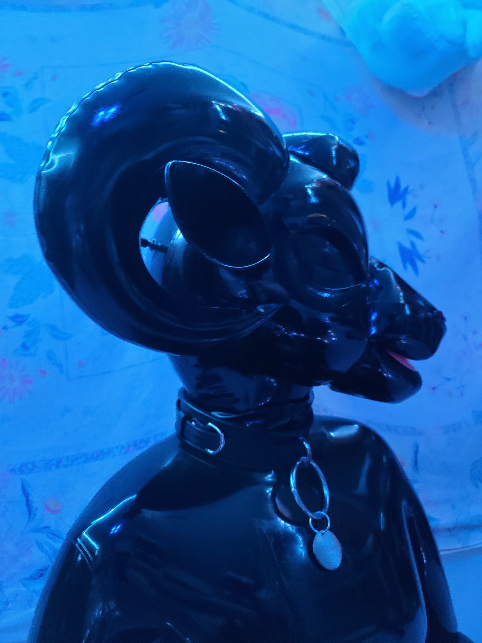 Kuromi Bunny in Boston on Twitter: "leftovers from an SD card https://t.co/zeq7KNZtza" / Twitter