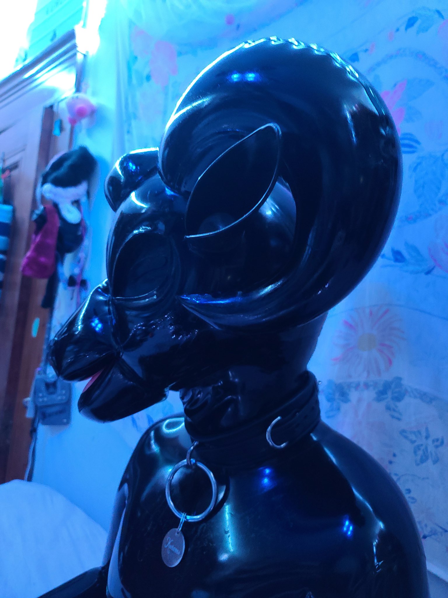 Kuromi Bunny in Boston on Twitter: "leftovers from an SD card https://t.co/zeq7KNZtza" / Twitter