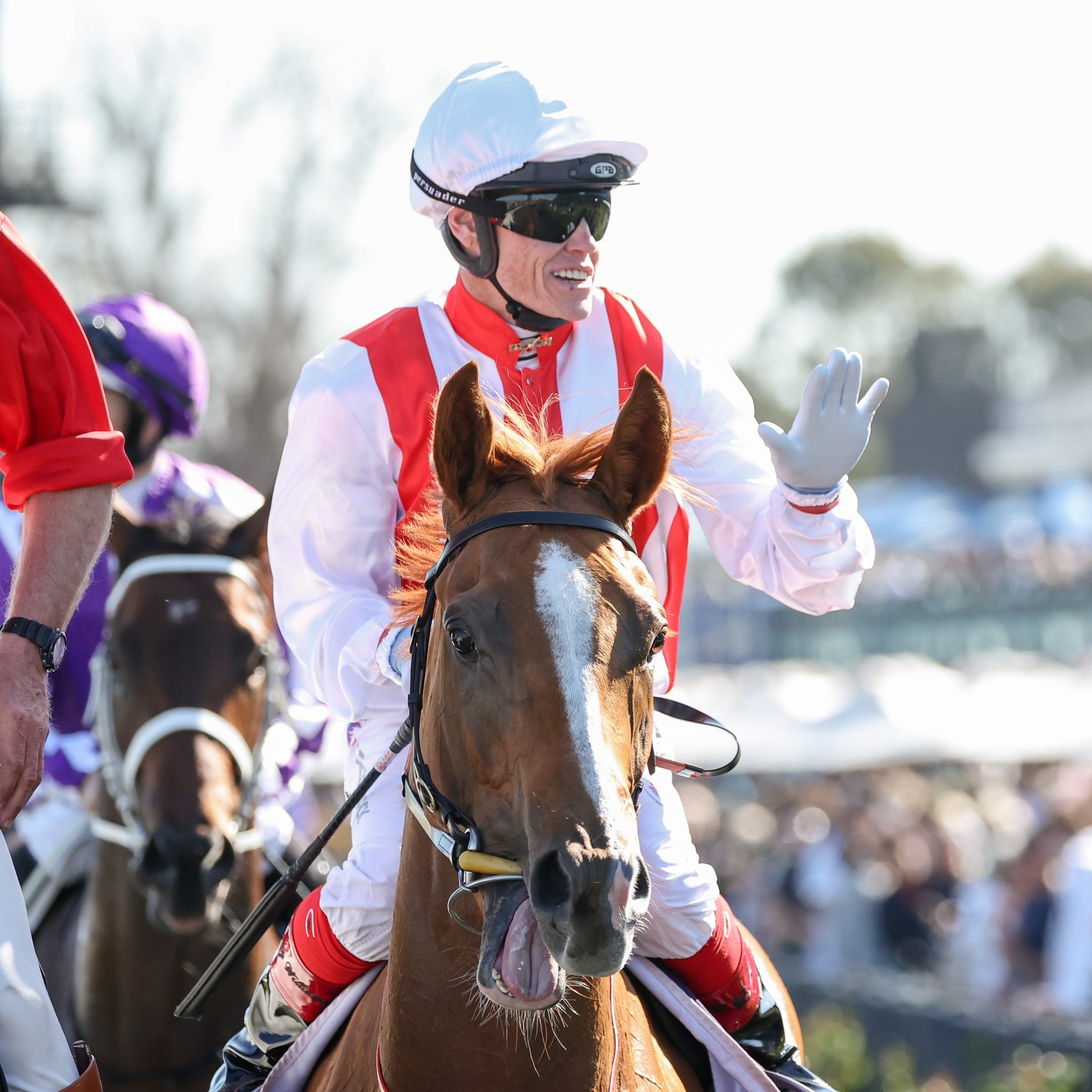 Racing.com on Twitter: "GIGA KICK WINS THE EVEREST! ️ An incredible ...