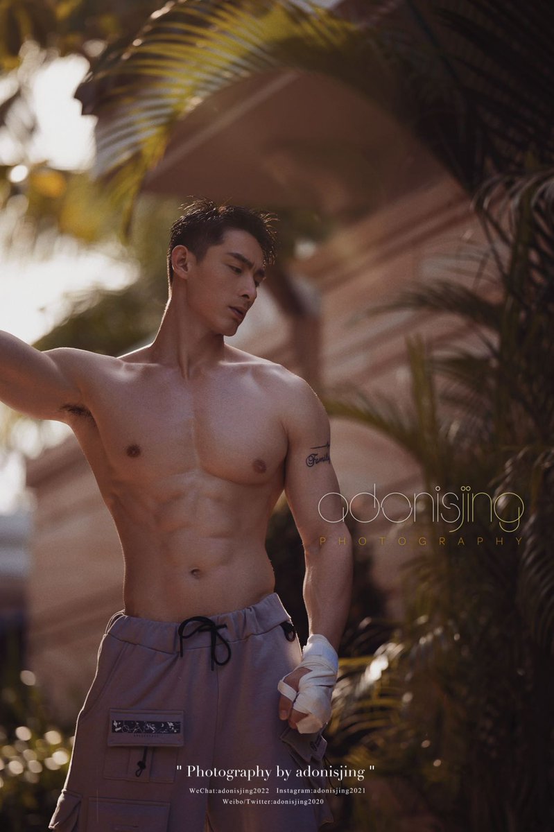 adonisjing @adonisjing2020 Timeline, The Visualized Twitter (Analytics)