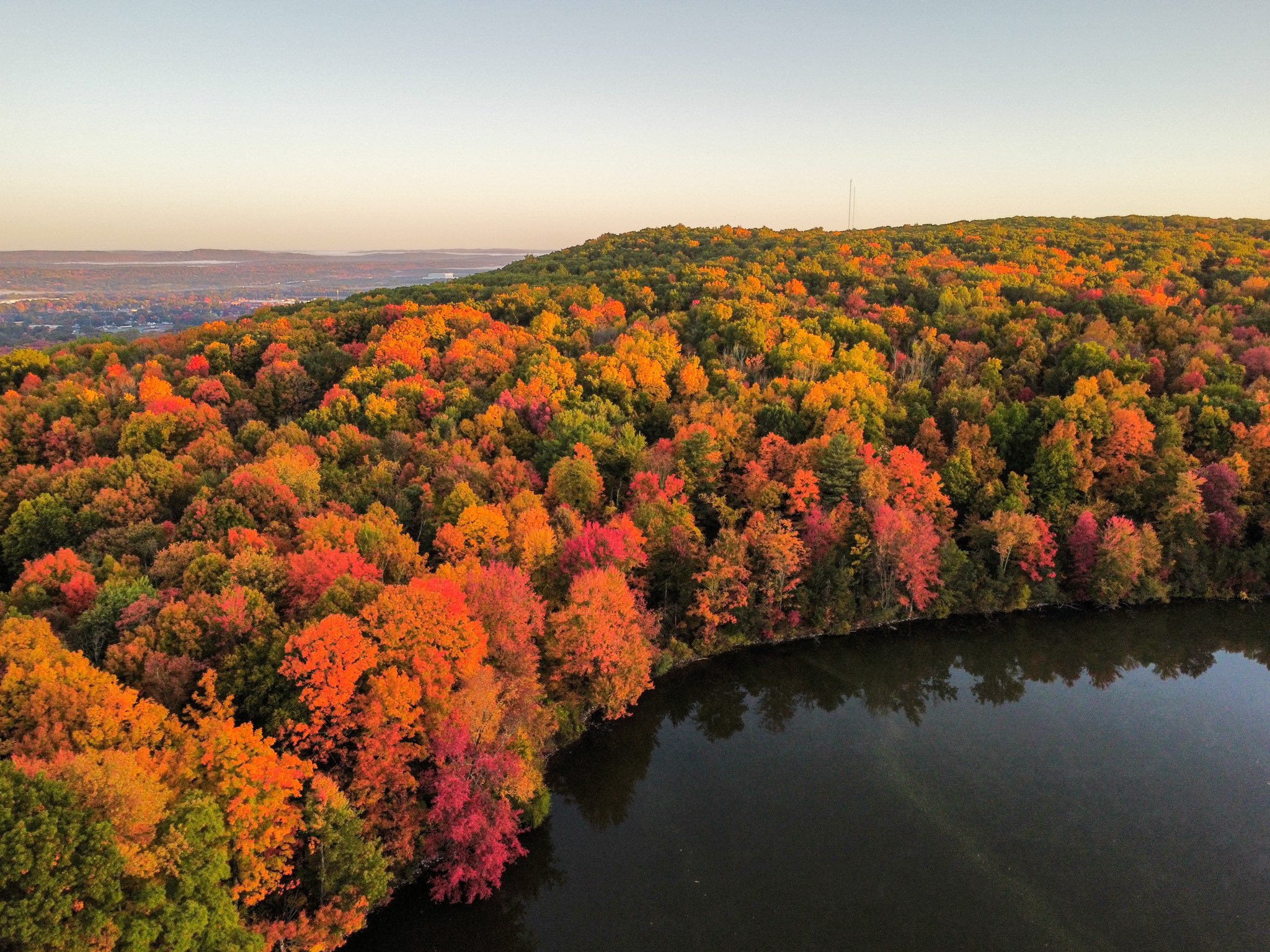 Dan Amarante (@DanAmarante) / Twitter