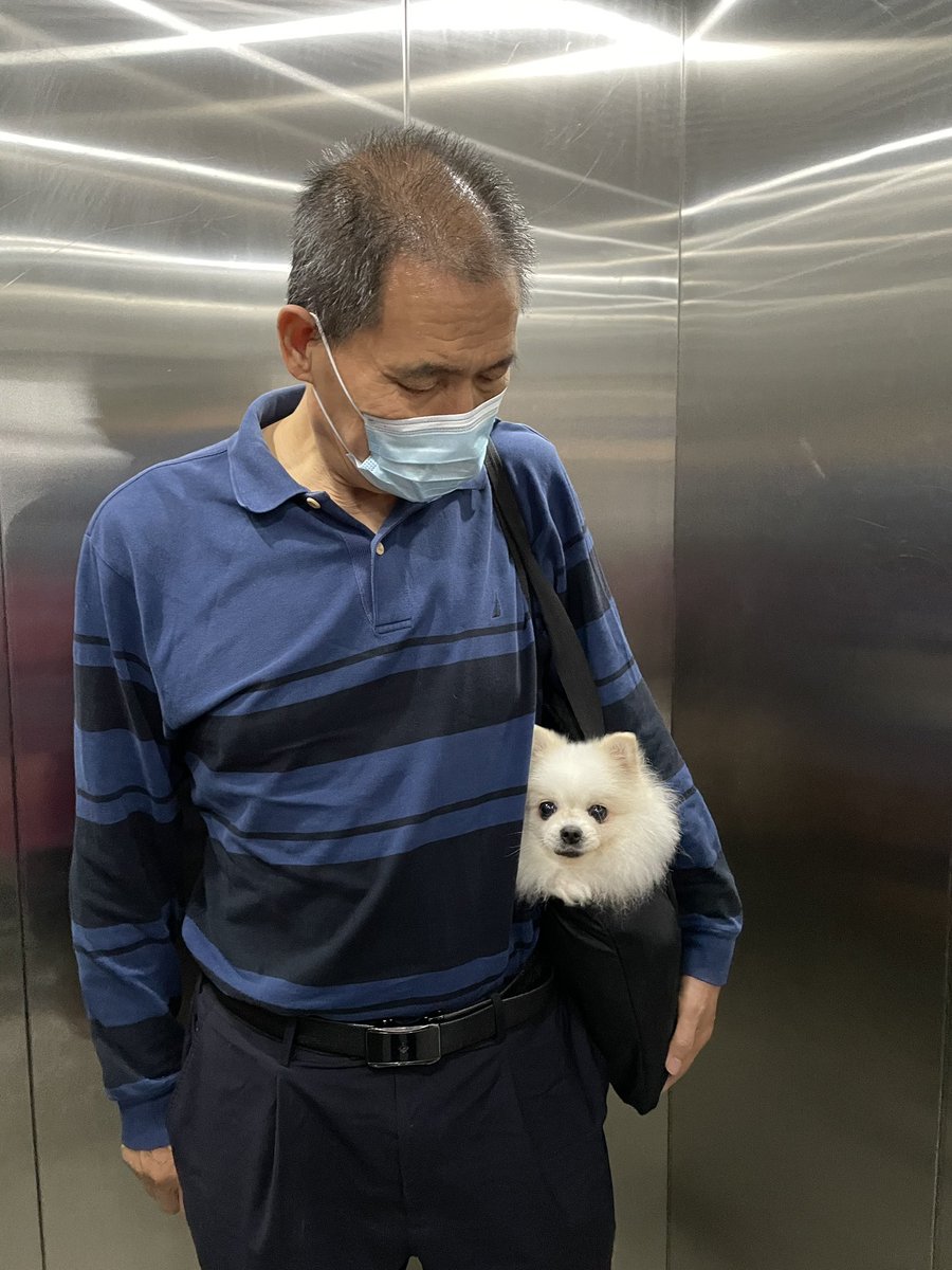 浦志强 On Twitter 志安兄运气不错!反观那些跟我重名的,就因为也叫浦志强,恐怕就倒霉了:想实名注册今日头条、抖音、快手等等,因为昵称里含违法字符或敏感词,而被守法的平台们依相关