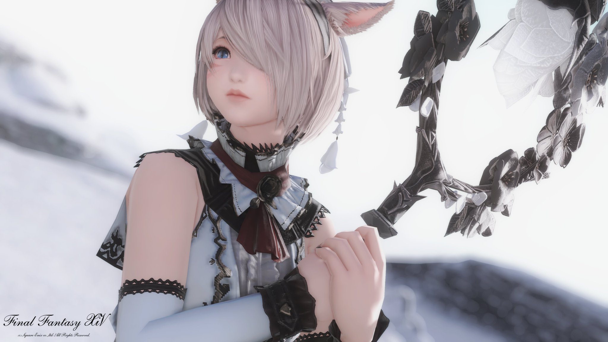 レティシア☽･:* on Twitter: "#フォルダー内にあるFF14でお気に入りの自キャラSSを4枚を貼って見た人もやる https://t.co/k052hJL42r" / Twitter