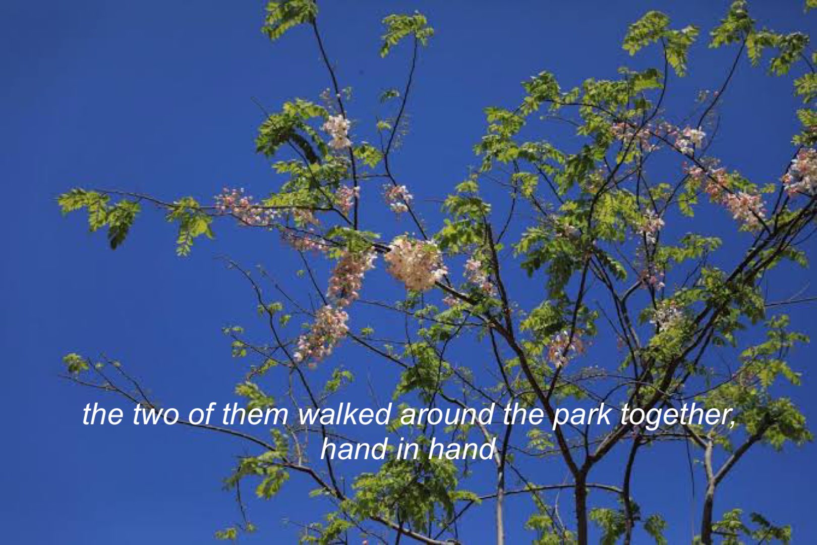 rest. on Twitter: "72. https://t.co/hKnTuoXXzZ" / Twitter