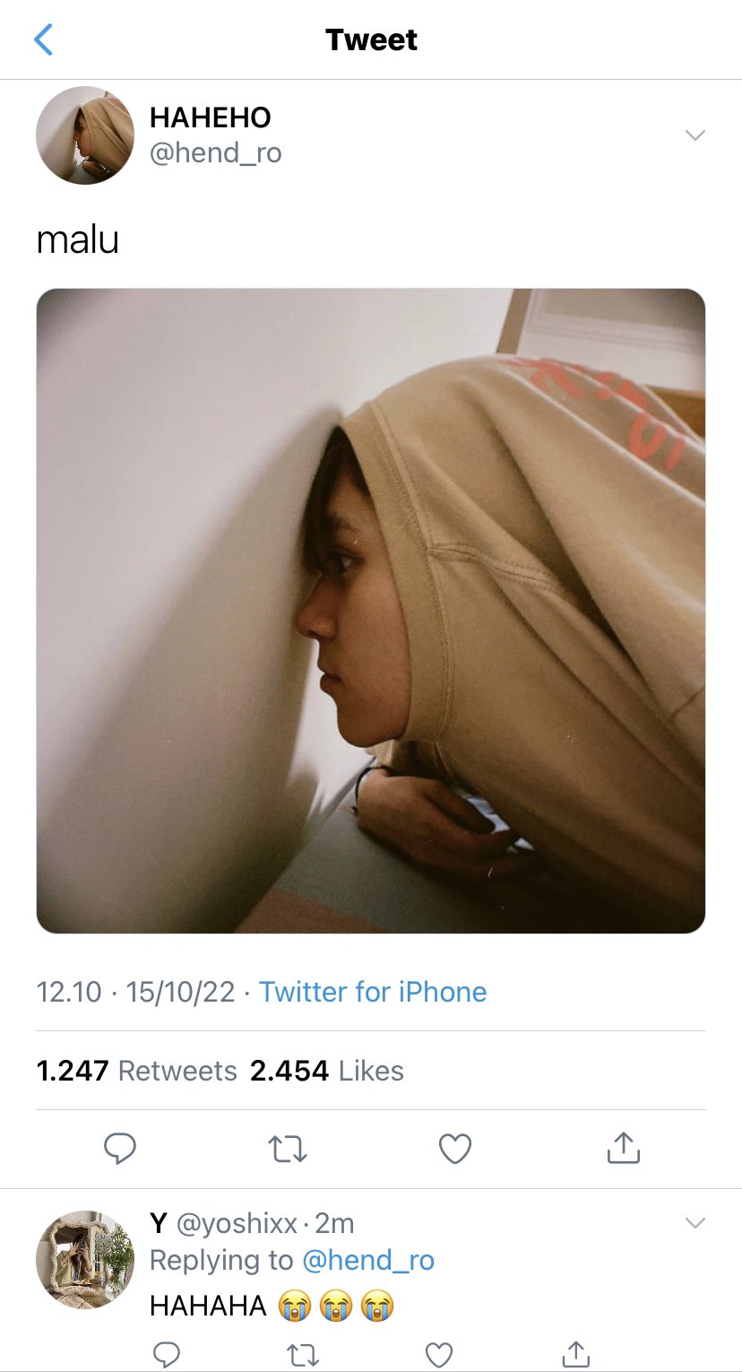 dip •ᴥ• on Twitter: "19. https://t.co/gyK5tDqXAL" / Twitter