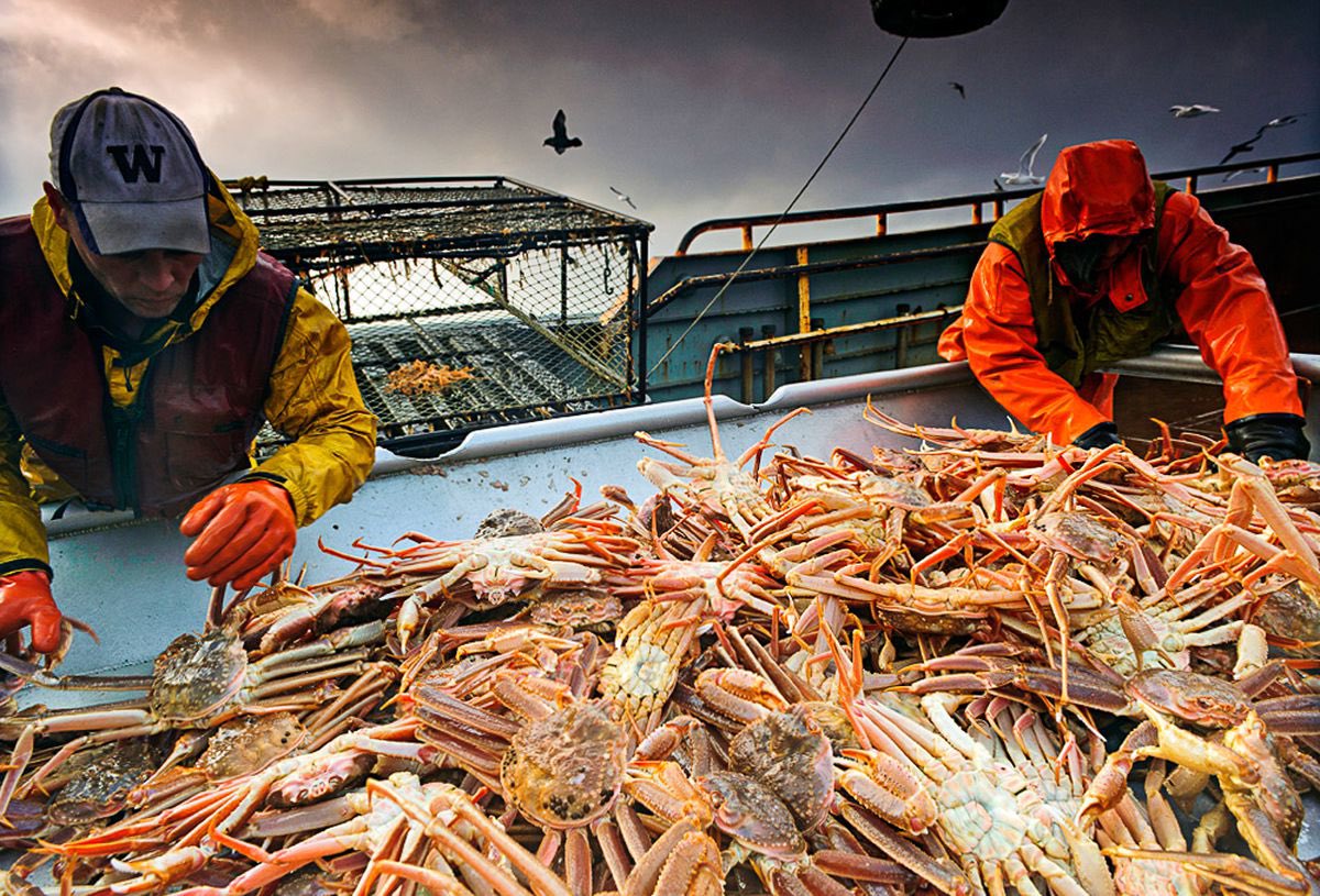 SAY CHEESE! 👄🧀 on Twitter: "Alaska's snow crab season has been canceled for the first time in ...