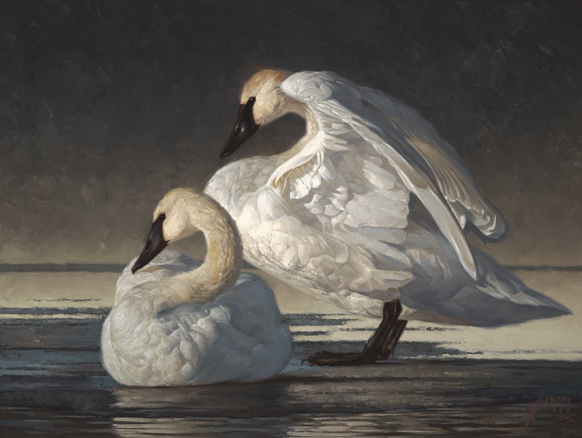 Greg Beecham Studio (@gregbeechamart) さんのイラスト・マンガ作品まとめ (37 件) - Twoucan