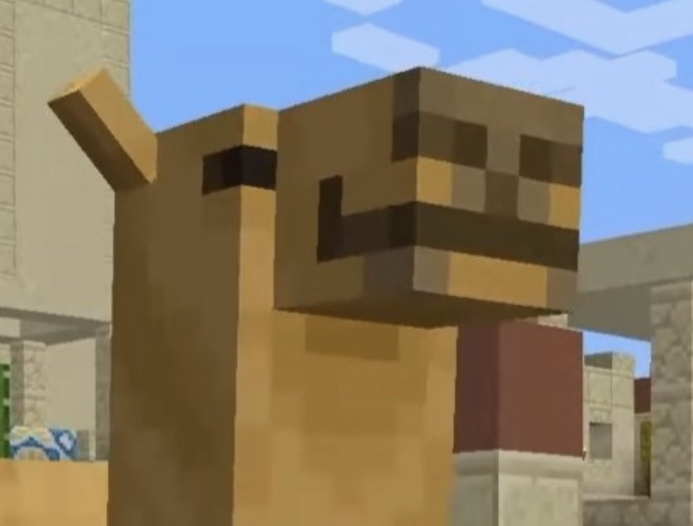Minecraft Lion Face