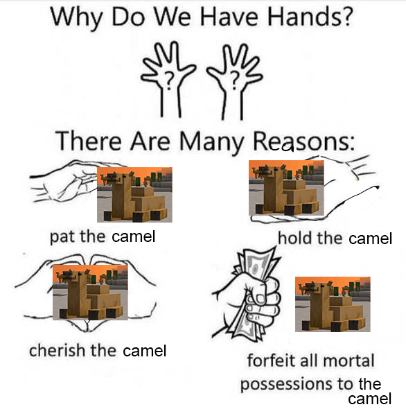 Minecraft Camel